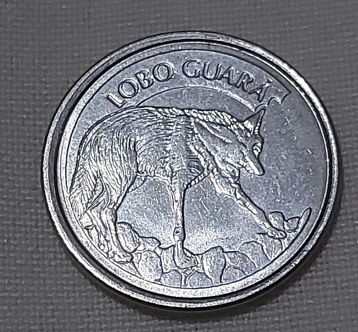 Moeda Lobo Guara 1994 - 100 Cruzeiros Reais | Cacareco Usado 78577670 ...