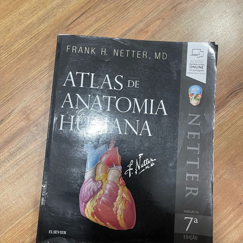 Atlas De Anatomia Humana Frank H Netter Pdf