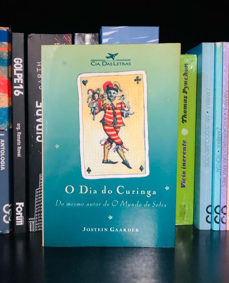 O Dia do Curinga | Livro Companhia Das Letras Usado 73314554 | enjoei