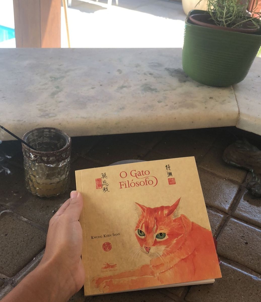 O Gato Filósofo | Livro Usado 27295137 | enjoei