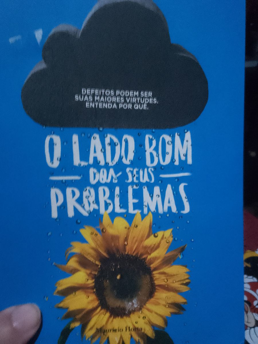 O Lado Bom Dos Seus Problemas | Livro Super Interessante Usado 97930111 ...