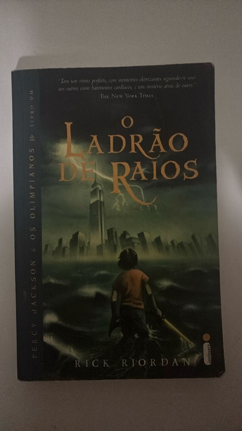 O Ladrão de Raios | Livro Usado 134722442 | enjoei