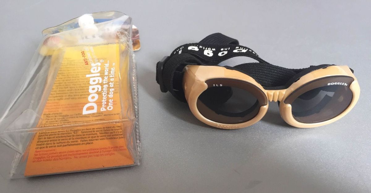 Óculos de Proteção para Cães | Item p/ Pet Nunca Usado 2055346 | enjoei