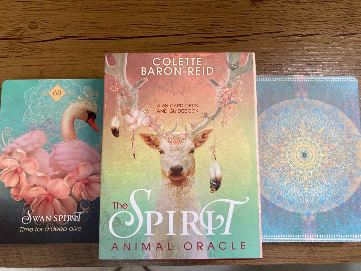 Oráculo The Spirit Animal - Importado Original | Livro Hay House Usado 86835058 | enjoei