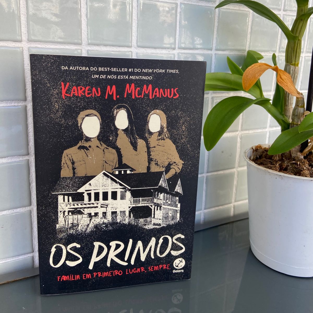 Os Primos - Karen M. Mcmanus | Livro Galera Nunca Usado 86757848 | enjoei