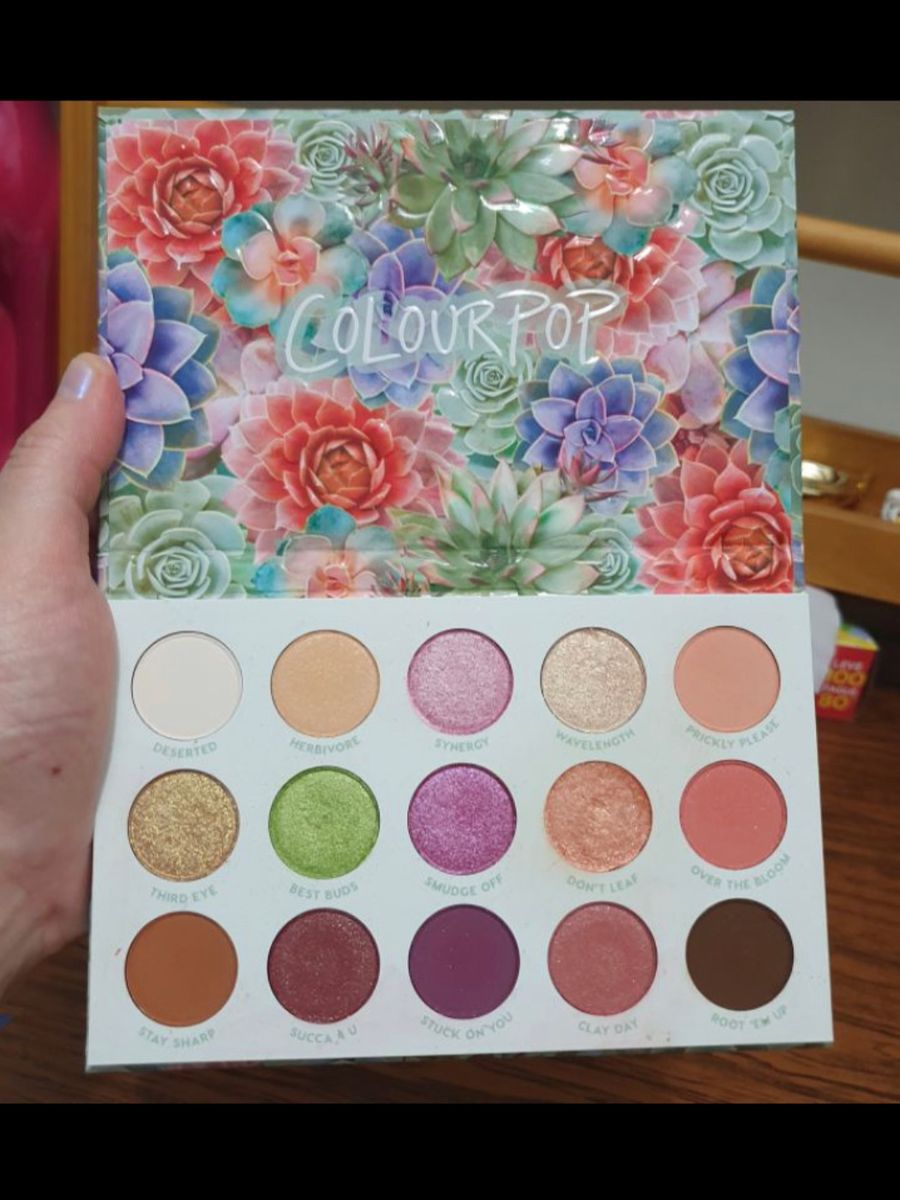 Paleta Sombra Colourpop | Produto Feminino Colourpop Usado 63145499 ...