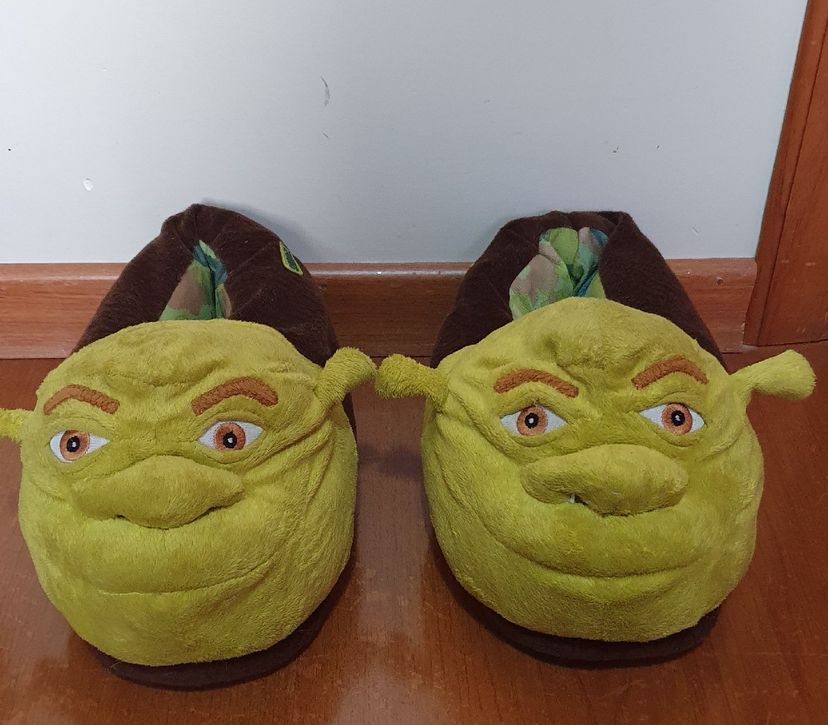 Pantufa Shrek Dreamworks Original Ricsen | Sapato Feminino Ricsen Usado ...