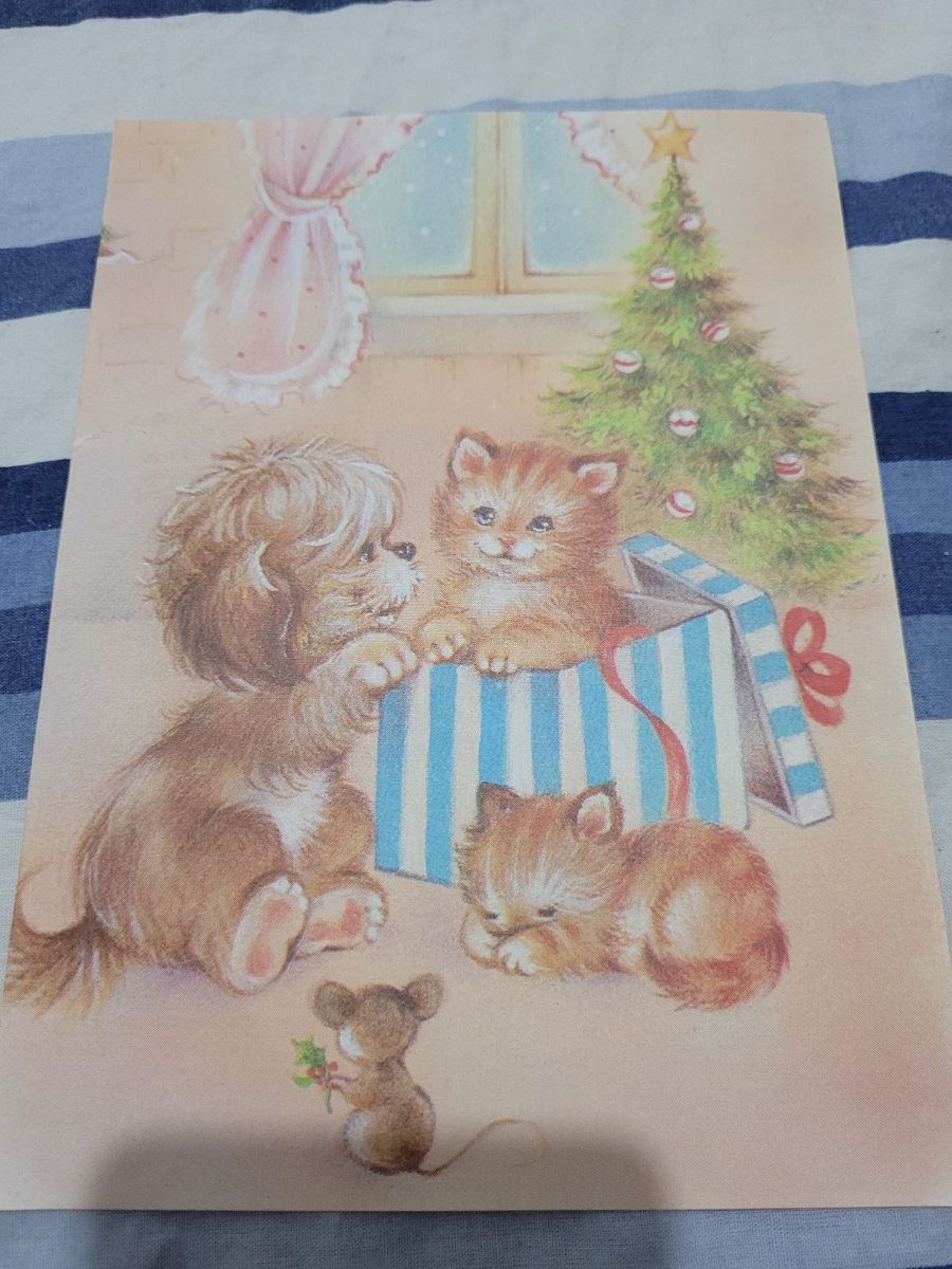 Papel de Carta Médio | Item de Papelaria Nunca Usado 86786611 | enjoei