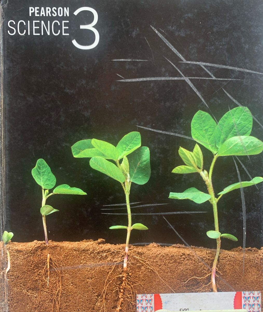 Pearson Science 3 | Item Infantil Maple Bear Usado 66091232 | enjoei