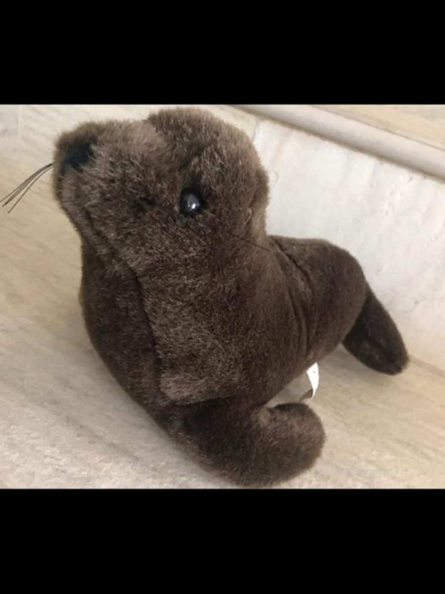 Pelúcia Foca Marrom | Pelúcia Disney Usado 37135459 | enjoei