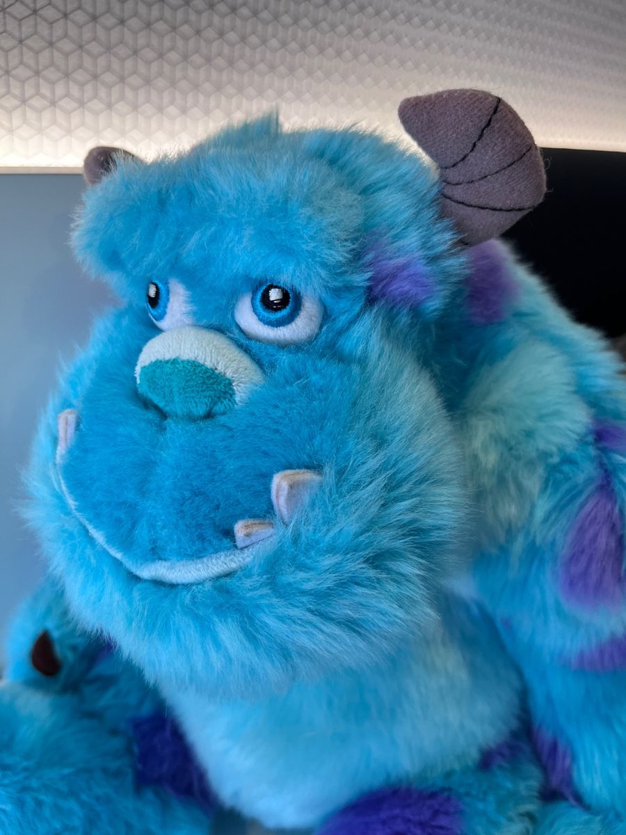 Pelúcia Sullivan Disney Original 30 Cm | Pelúcia Disney Usado 87291877 ...