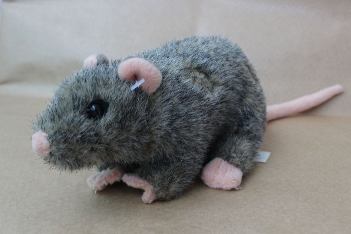 Pereba Harry Potter | Item de Decoração Universal Nunca Usado 14309203 ...