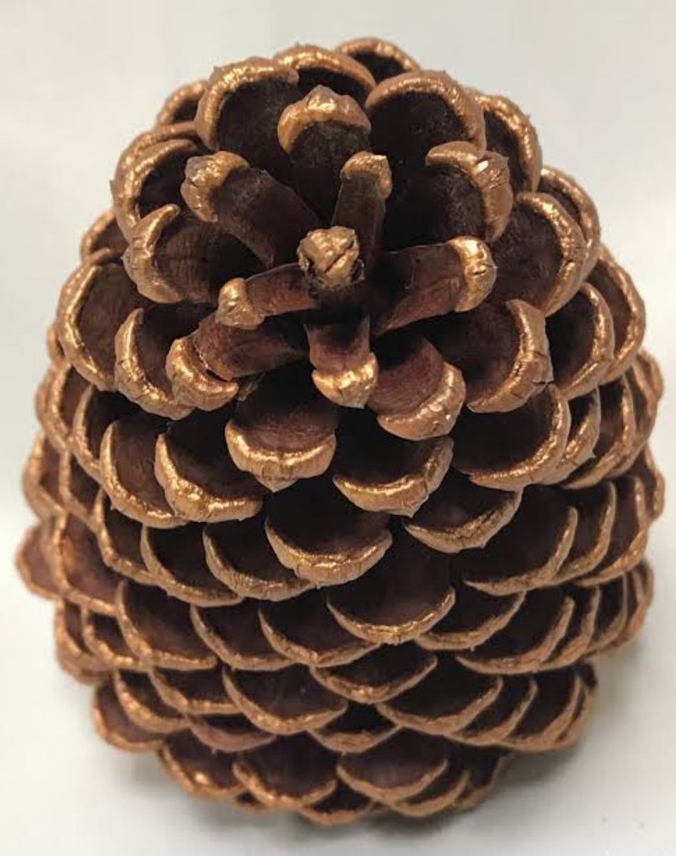 Pinha Natural de Pinheiro | Item de Decoração Nunca Usado 79190619 | enjoei