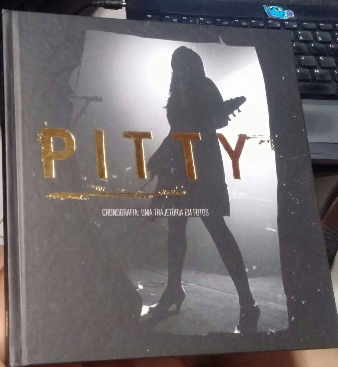 Pitty Cronografia: Uma Trajetória em Fotos | Livro Usado 26200795 | enjoei