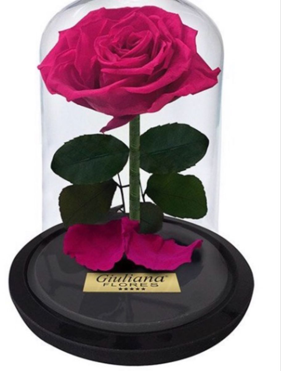 Rosa Encantada Giuliana Flores | Produto Feminino Giuliana Flores Nunca ...