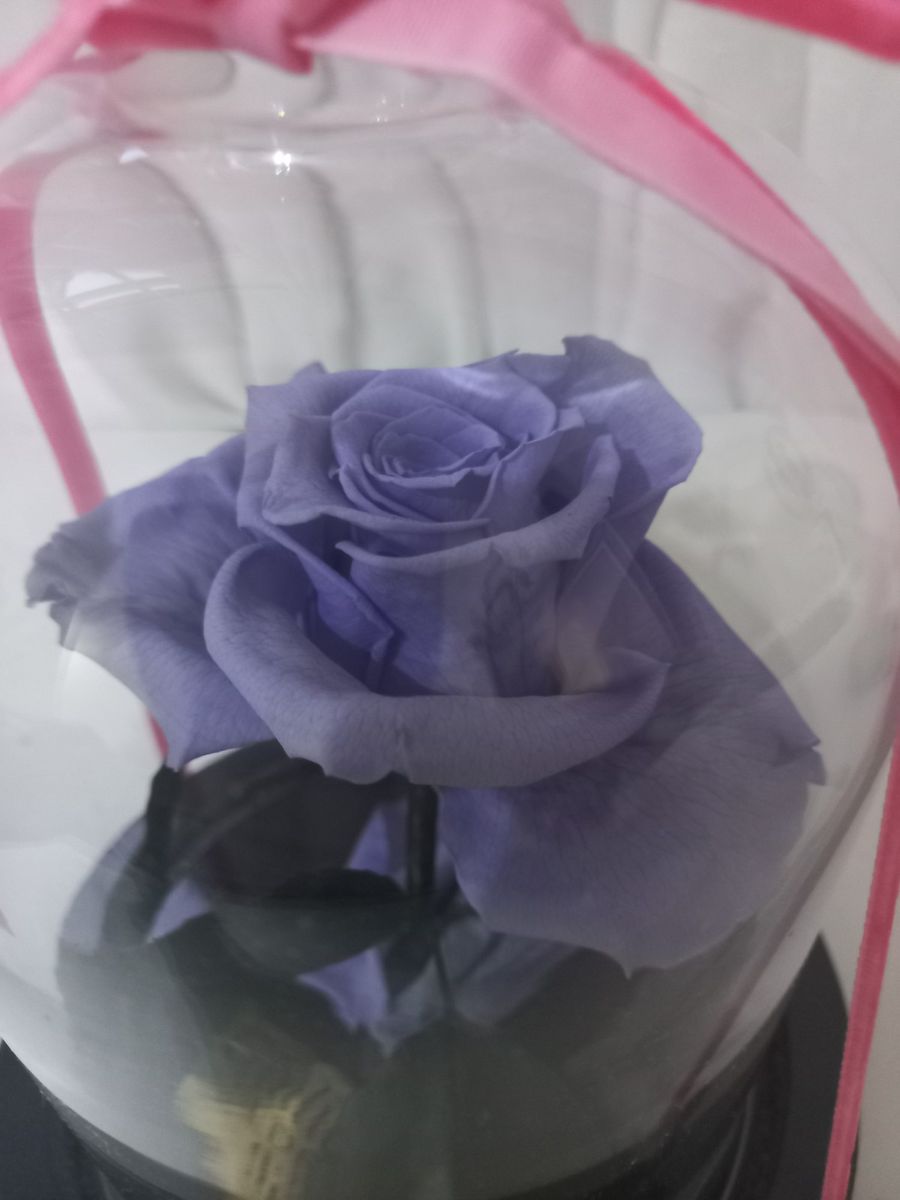 Rosa Encantada Lilás Giuliana Flores | Produto Feminino Giuliana Flores ...