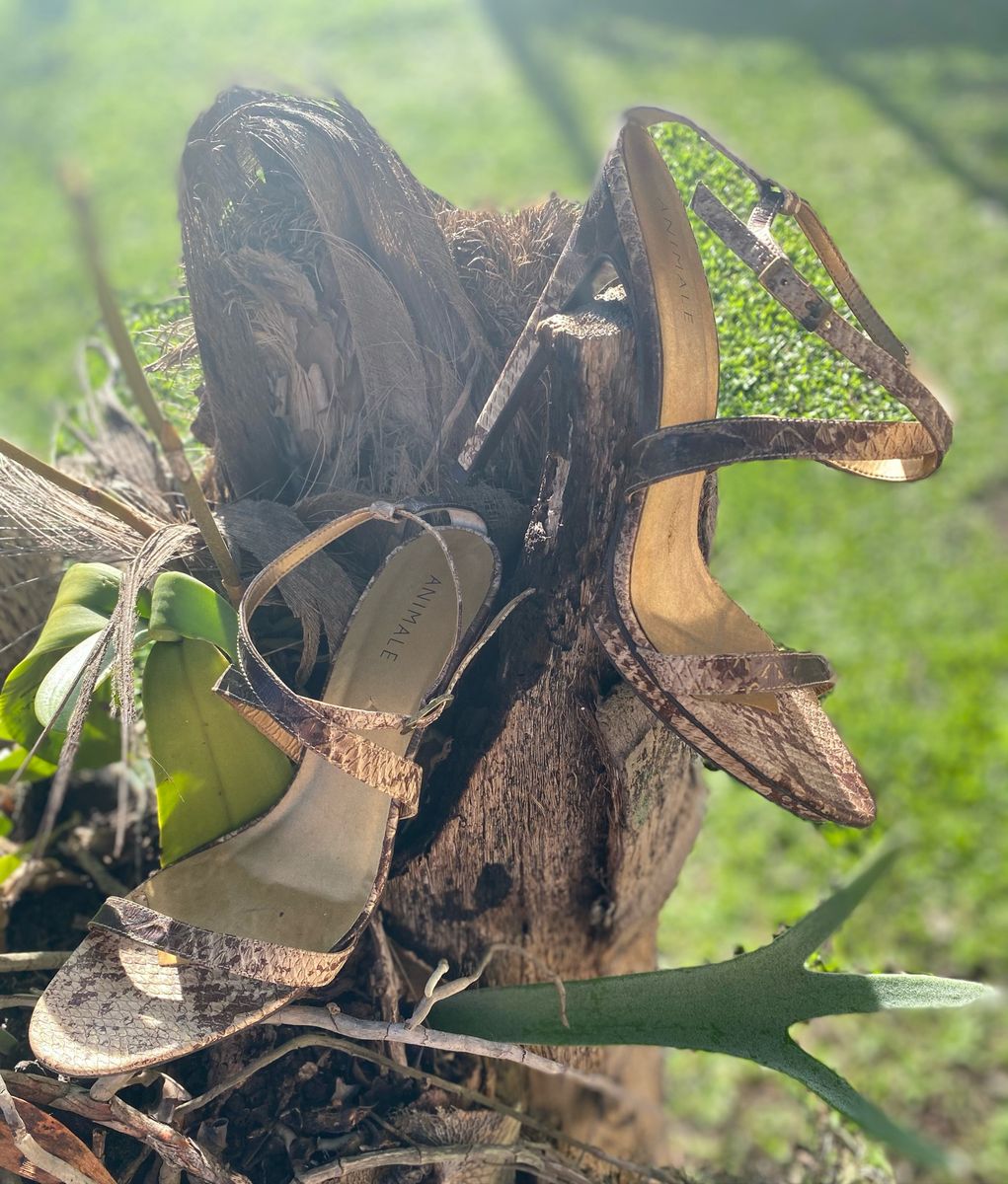 Sandália Salto Fino Cobra Animale | Sandália Feminina Animale Usado ...