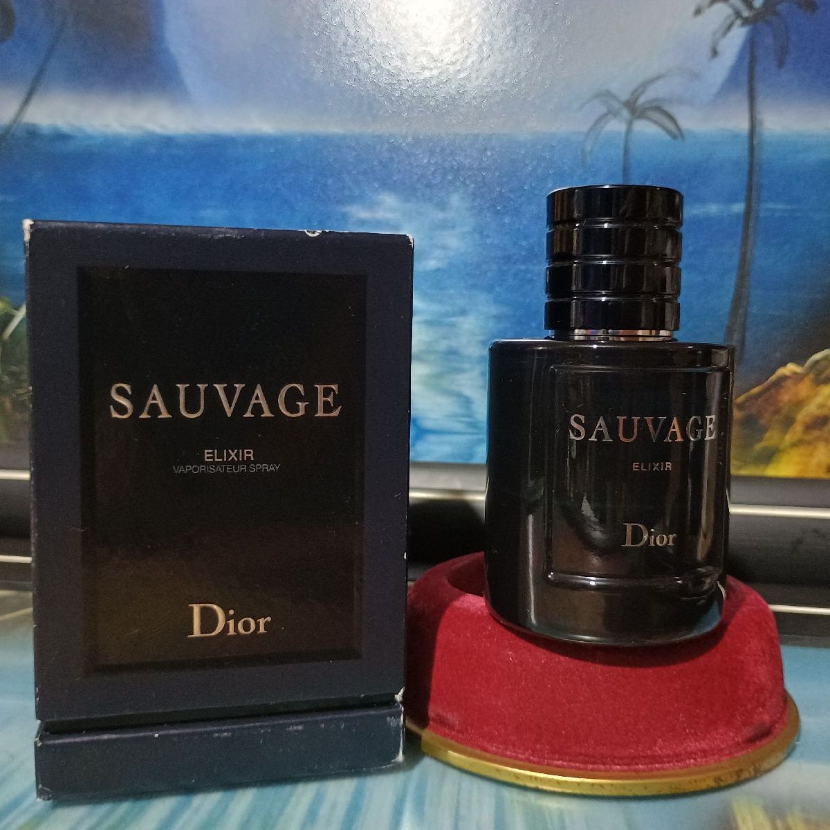 Sauvage Elixir Raríssimo | Perfume Masculino Dior Usado 135435734 | enjoei