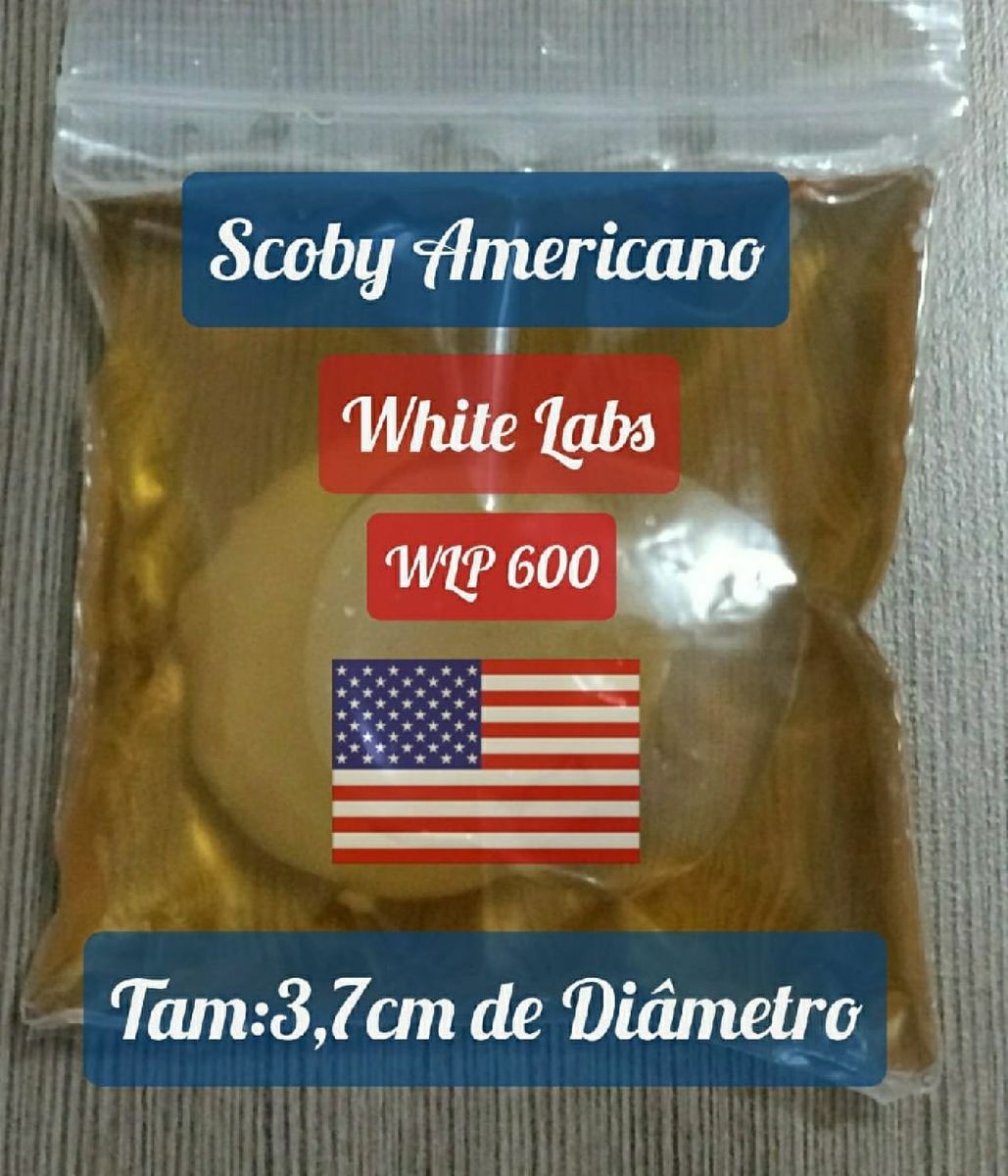 Scoby Americano - White Labs - Wlp 300 - Tam:3,7cm de Diâmetro | Móvel ...