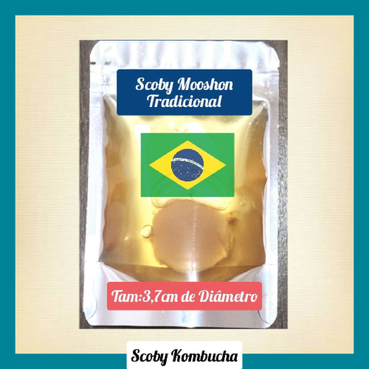 Scoby Mooshon Tradicional - Tam:3,7cm de Diâmetro | Móvel p/ Casa Scoby ...