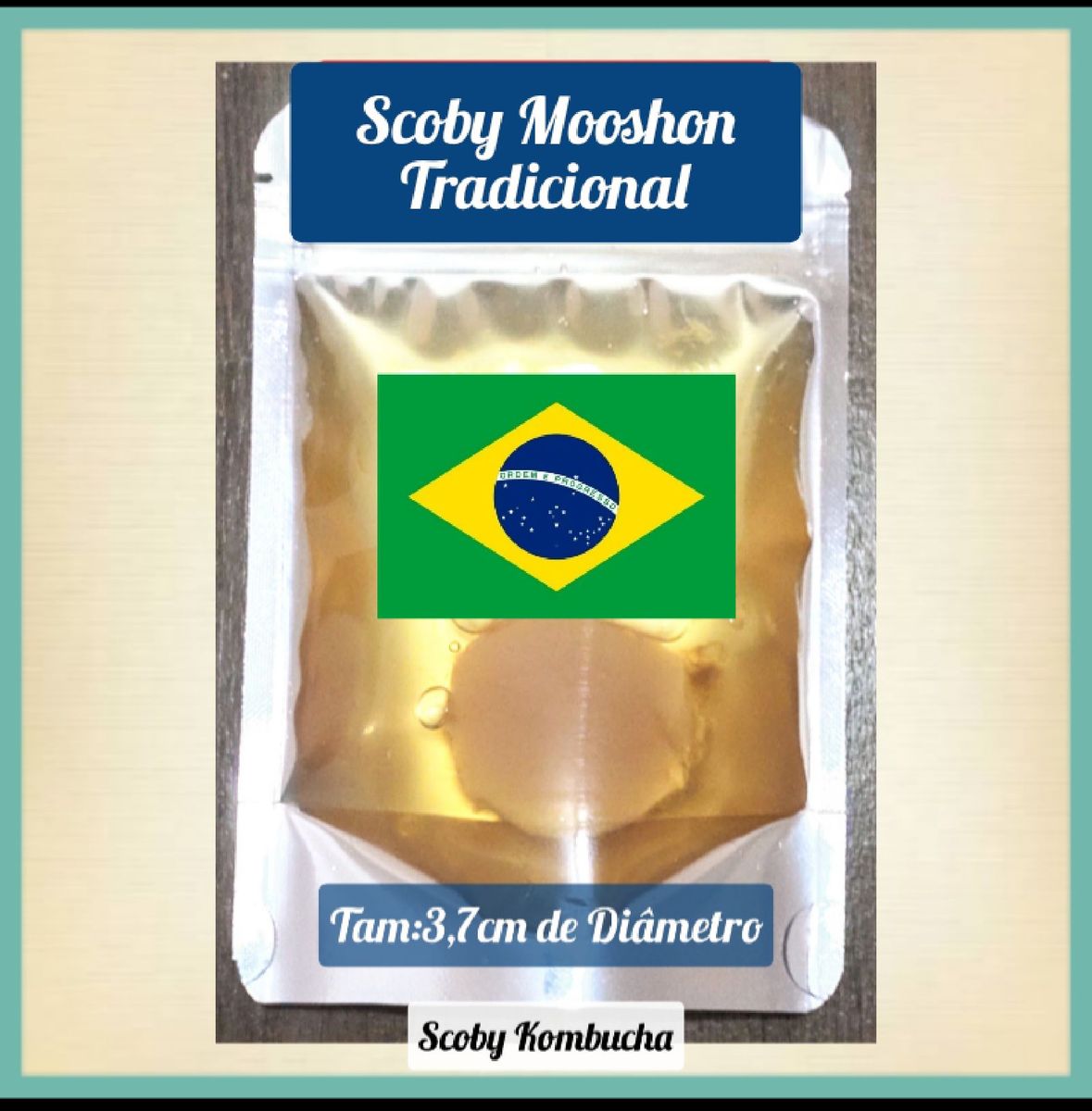 Scoby Mooshon Tradicional - Tam:3,7cm de Diâmetro | Móvel p/ Casa Scoby ...