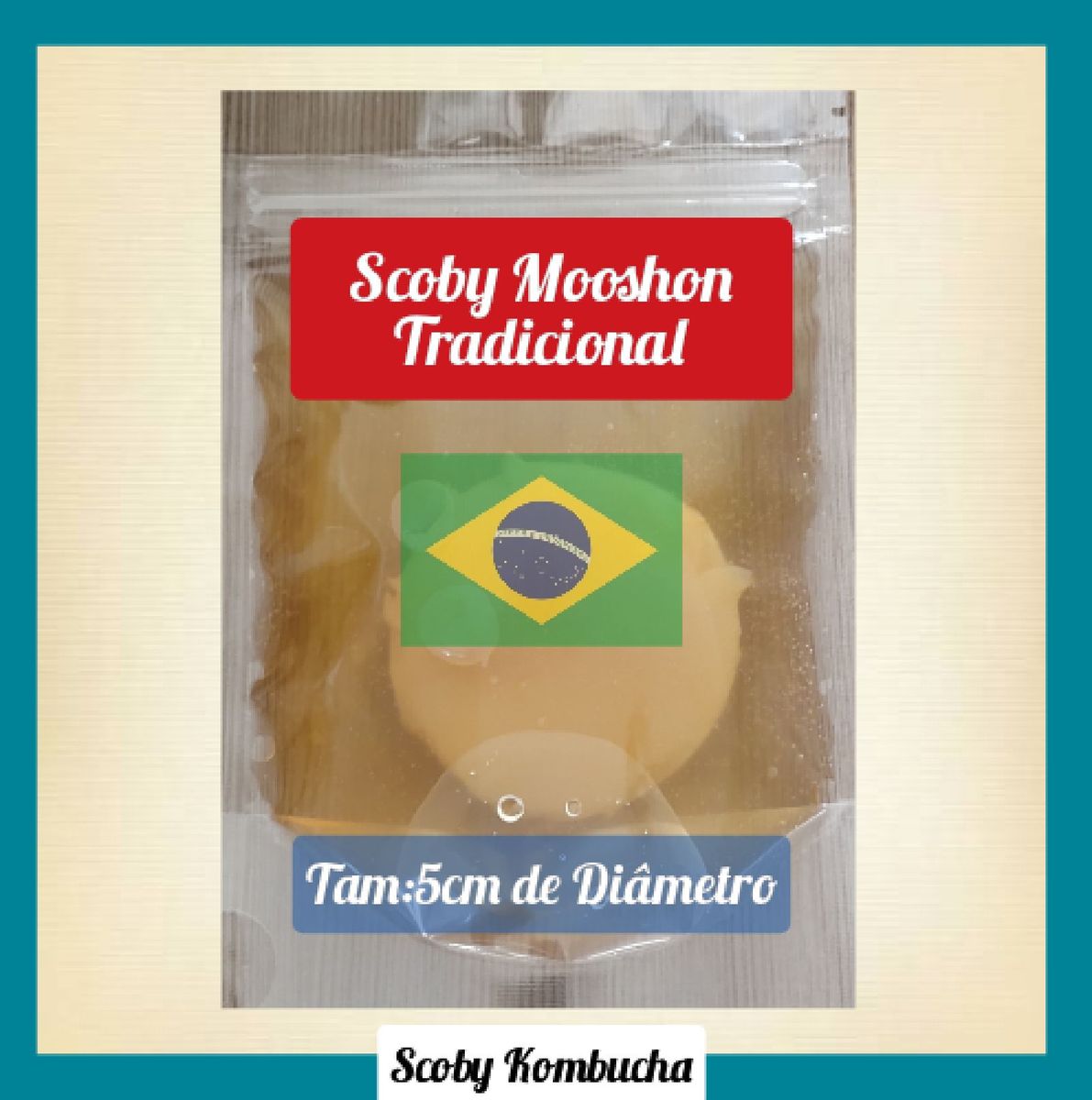 Scoby Mooshon Tradicional- Tam:5cm de Diâmetro | Móvel p/ Casa Scoby ...