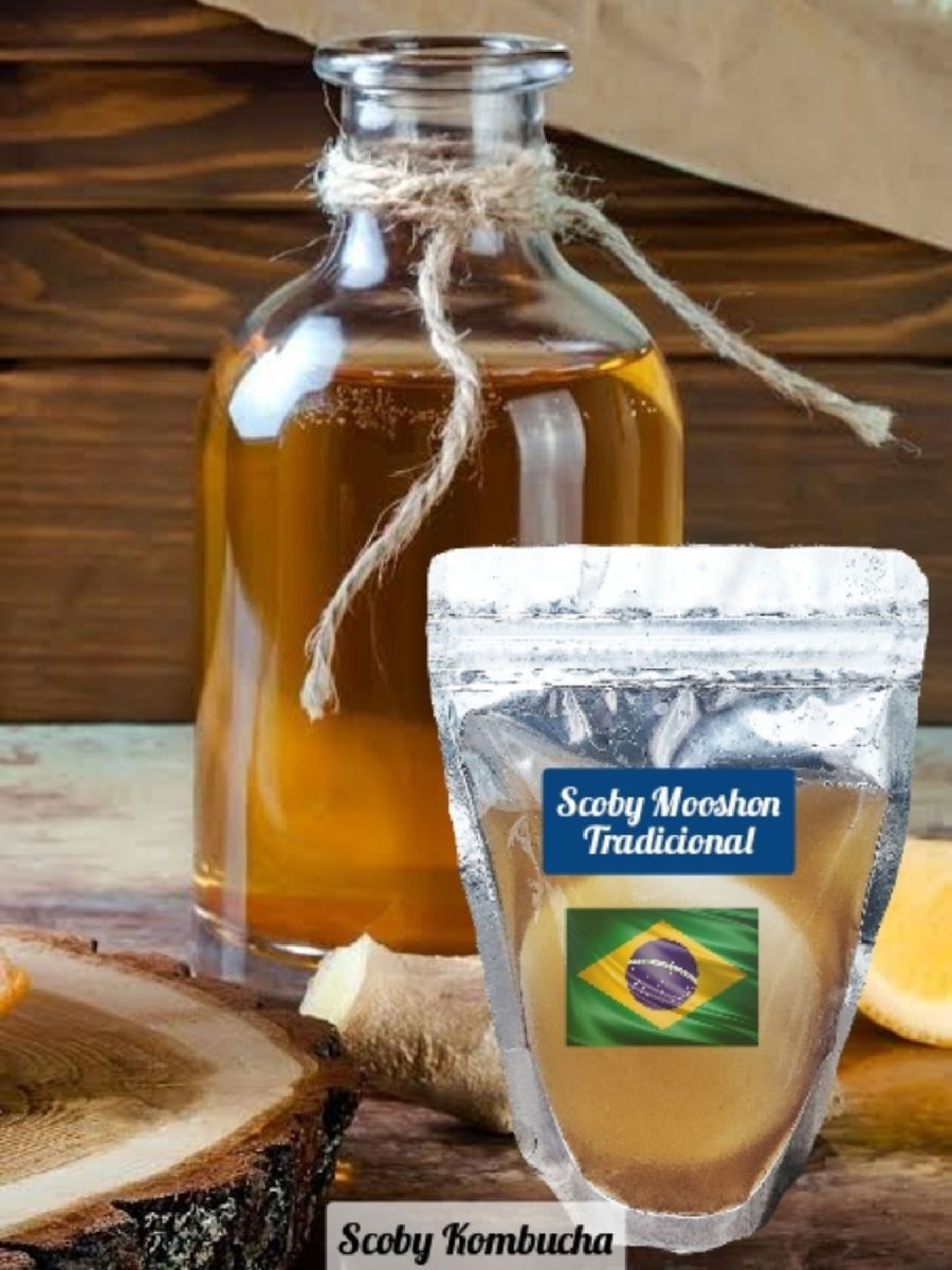 Scoby Mooshon Tradicional- Tam:7cm de Diâmetro | Móvel p/ Casa Scoby ...