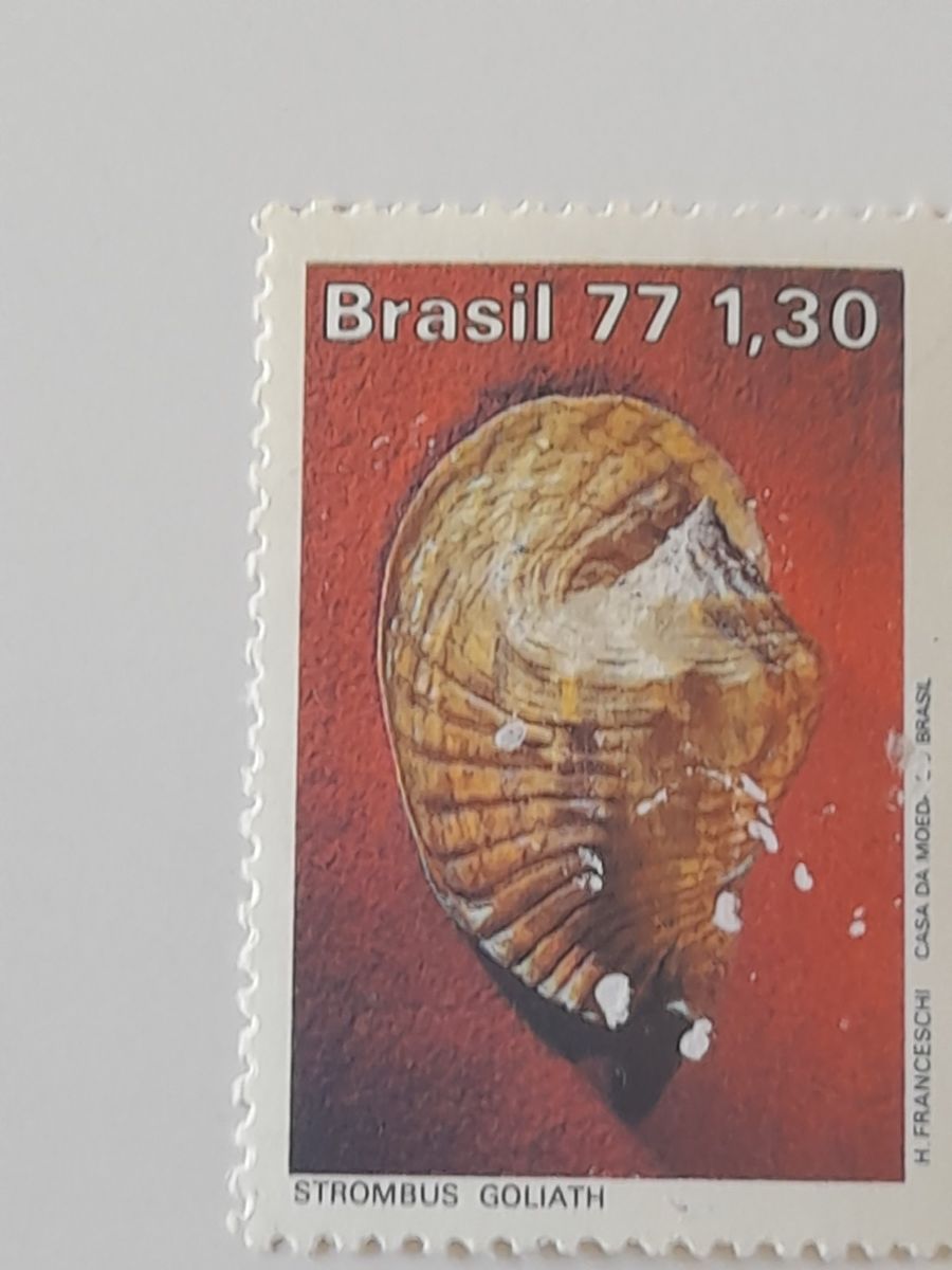Selo Brasil de 1977 - Molusco Strombus Goliath | Produto Vintage e ...
