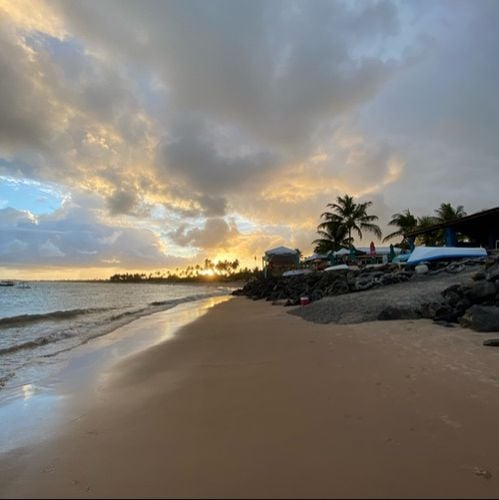 Simonne | Compre e Venda Novos & Usados | Enjoei