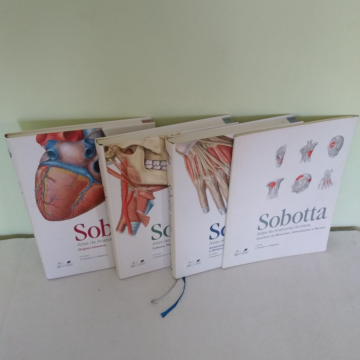 Sobotta - Atlas de Anatomia Humana | Livro Sobotta Usado 83148935 | enjoei Sobotta - Atlas de Anatomia Humana | Livro Sobotta Usado 83148935 | enjoei