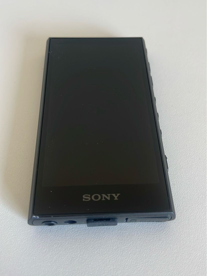 Sony Walkman Nw-a307 | Ipod e Mp3 Player Sony Usado 107919113 | enjoei