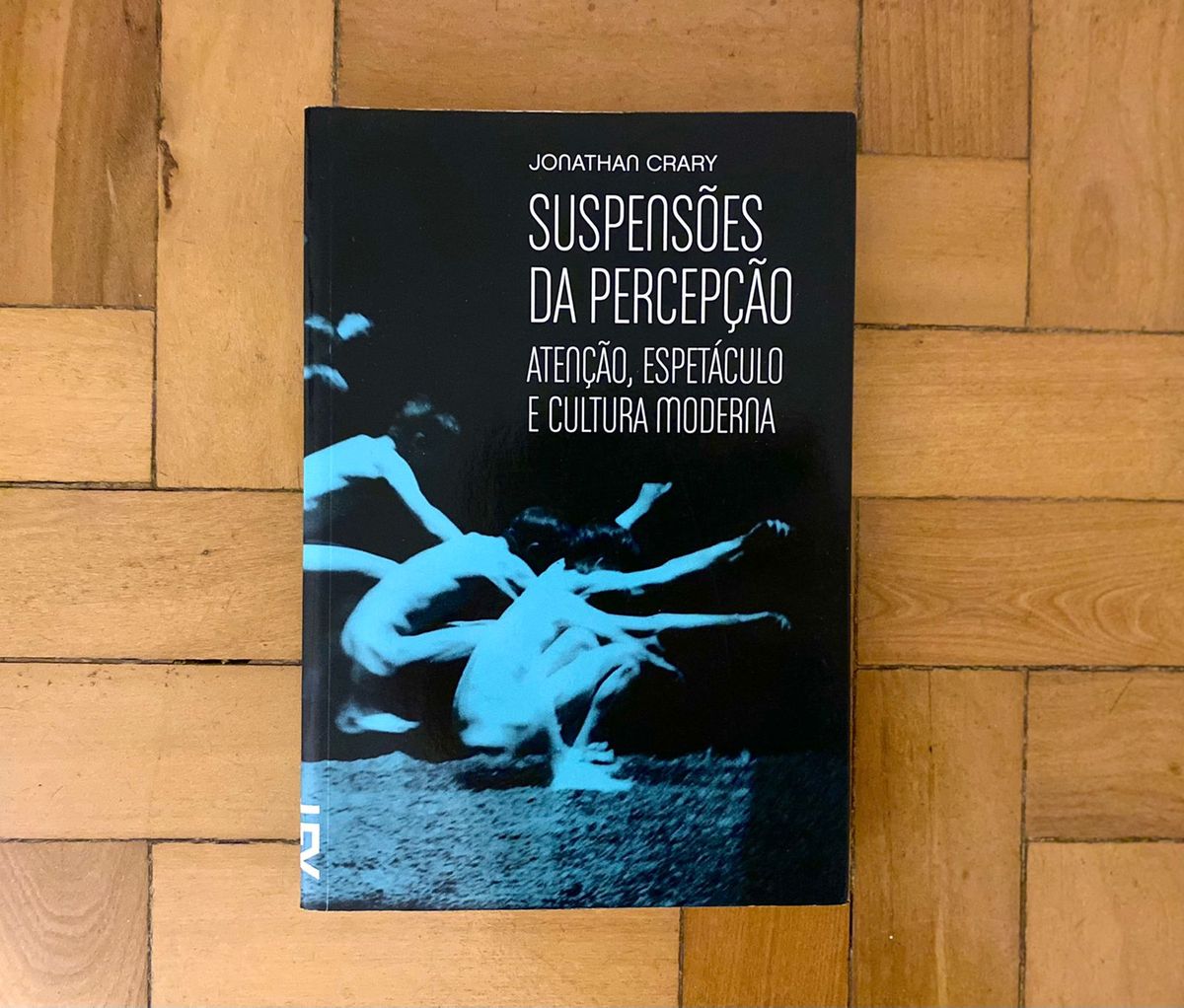 Suspensões da Percepção: Atenção, Espetáculo e Cultura Moderna ...