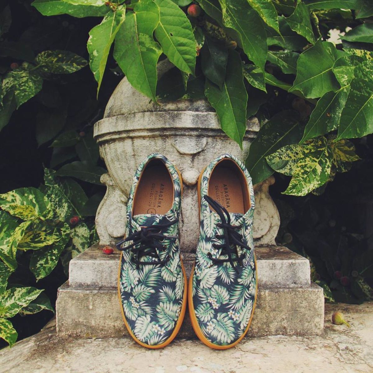 Tênis Floral | Tênis Masculino Aragäna Usado 19432562 | enjoei