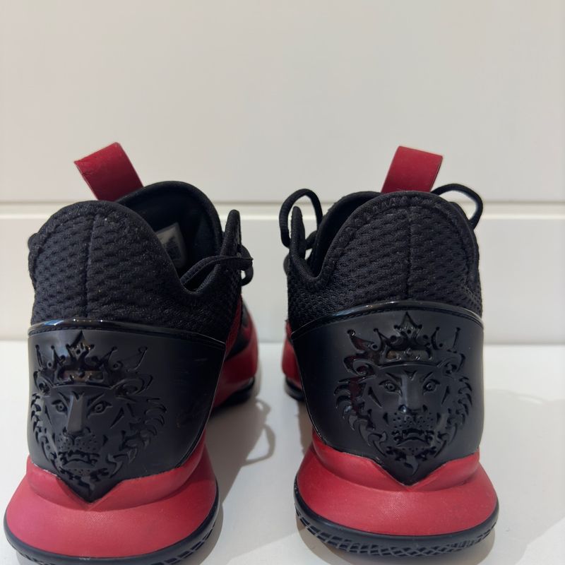 tenis lebron james king