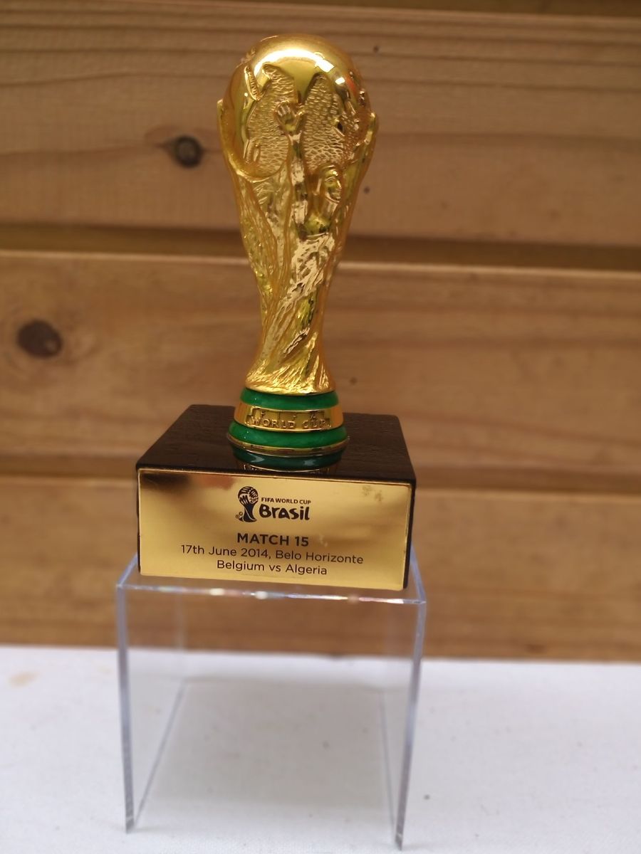 Troféu Copa Mundo Oficial | Item de Decoração S/ Marca Usado 67820934 ...