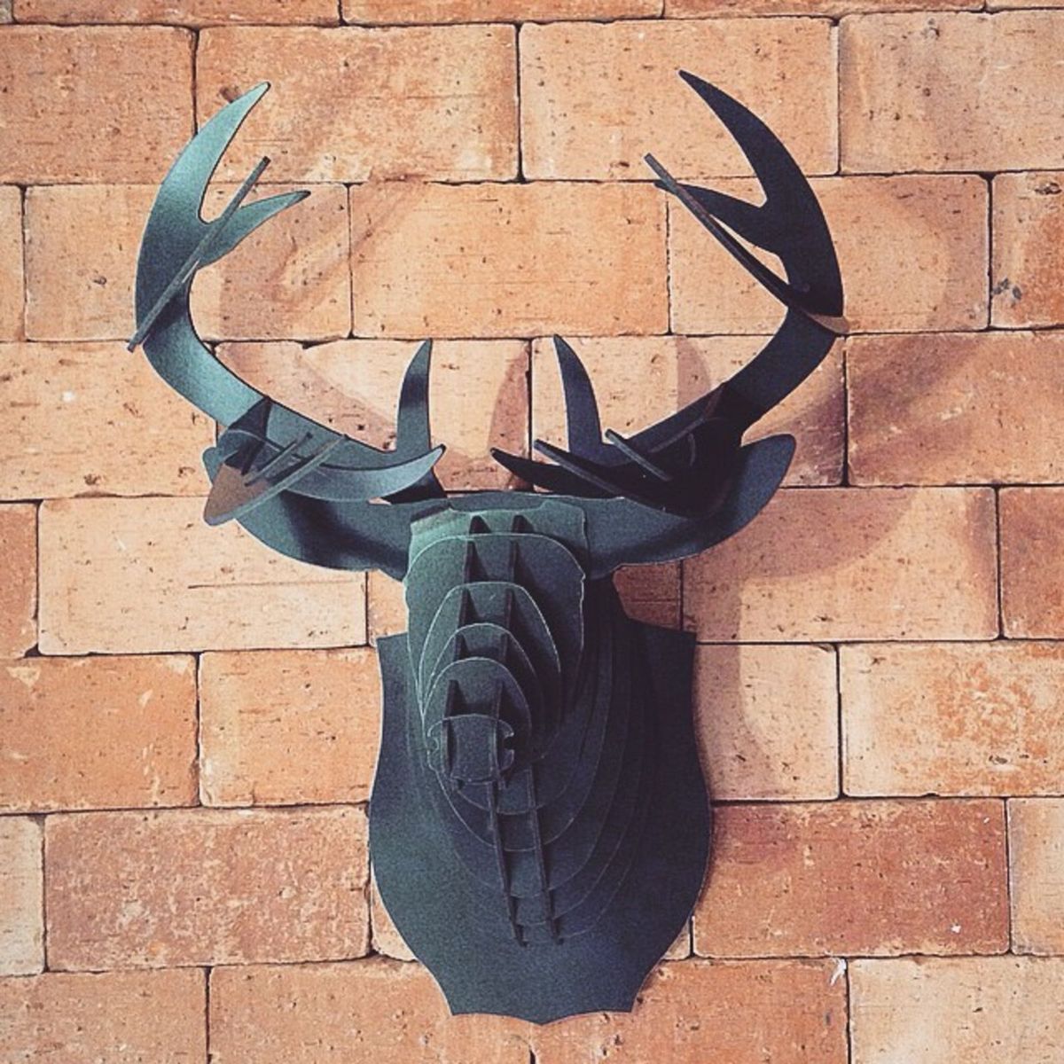 Troféu de Parede Alce | Item de Decoração By Rafaela Melara Nunca Usado ...