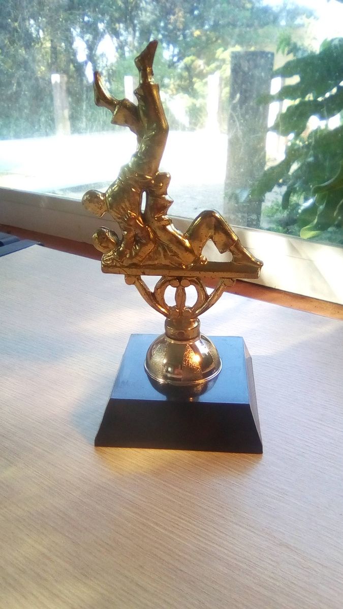 Troféu Esportivo -semi Novo | Item p/ Esporte e Outdoor Usado 85427086 ...