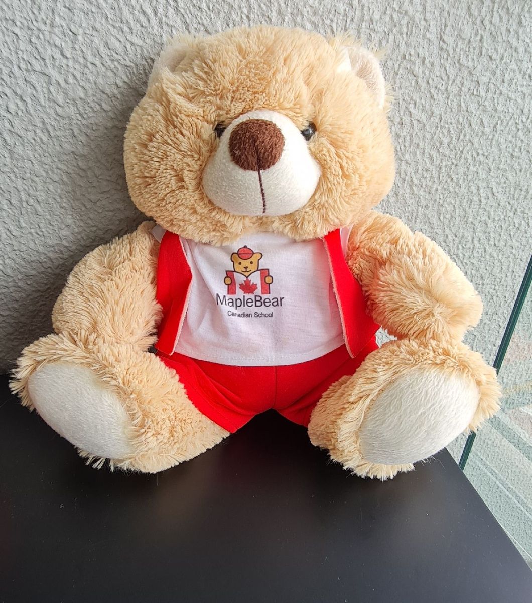 Urso Maple Bear | Pelúcia Maple Bear Nunca Usado 78920552 | enjoei