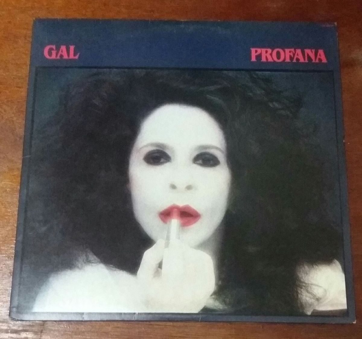 Vinil Gal Costa - Profana | Item de Música Usado 68235229 | enjoei