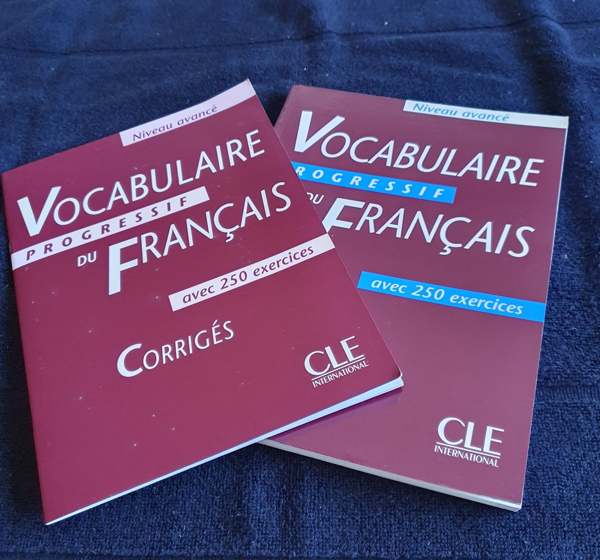 Vocabulaire Progressif Du Français, Niveau Avancé | Livro Cle ...