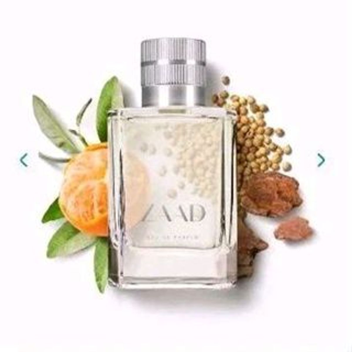 Zaad Tradicional Masculino 50ml O Boticário | Perfume Masculino O ...