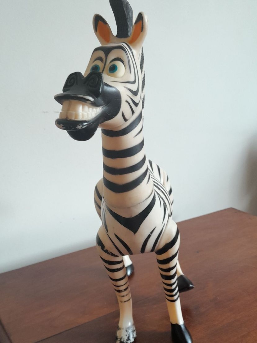 Madagascar Zebra